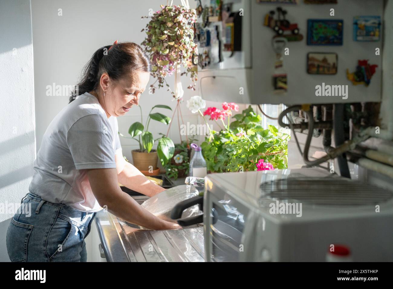 Woman washing dishes in kitchen Stock Photo - Alamy