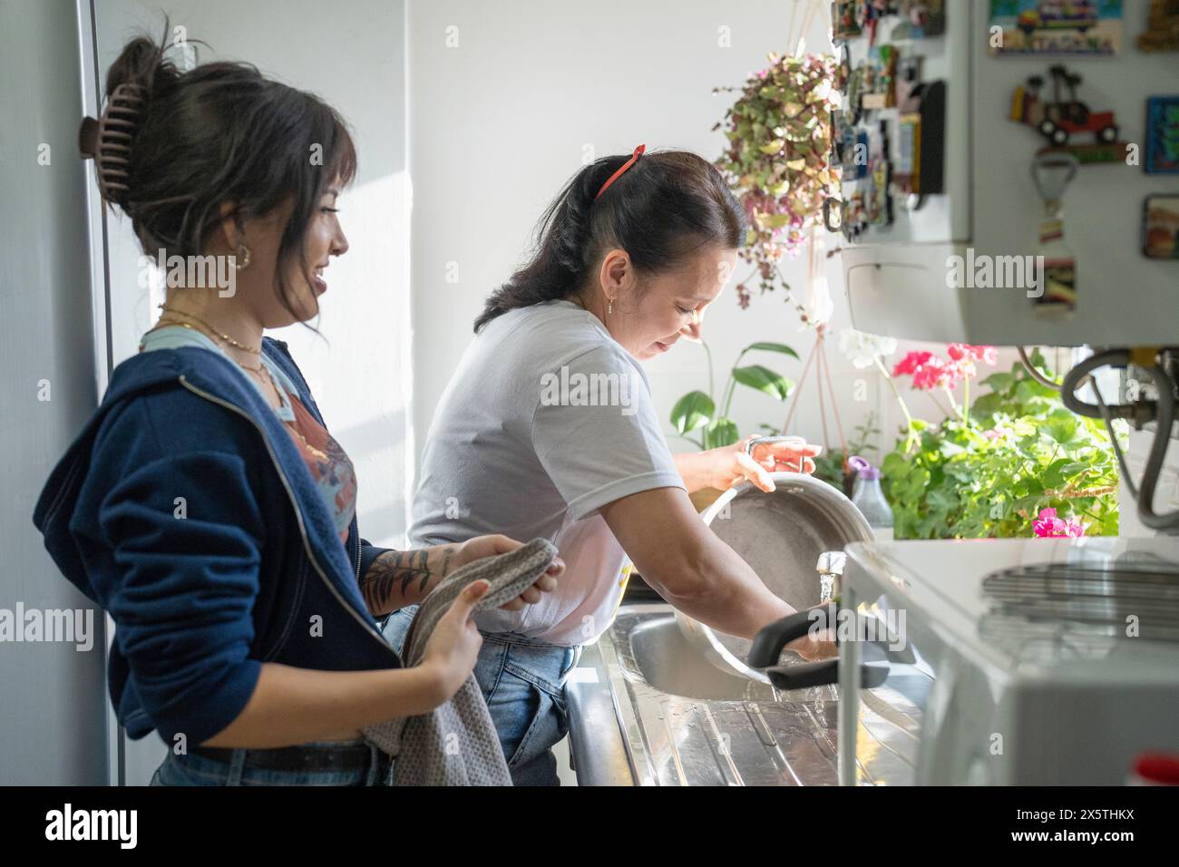 Two dishes hi-res stock photography and images - Alamy