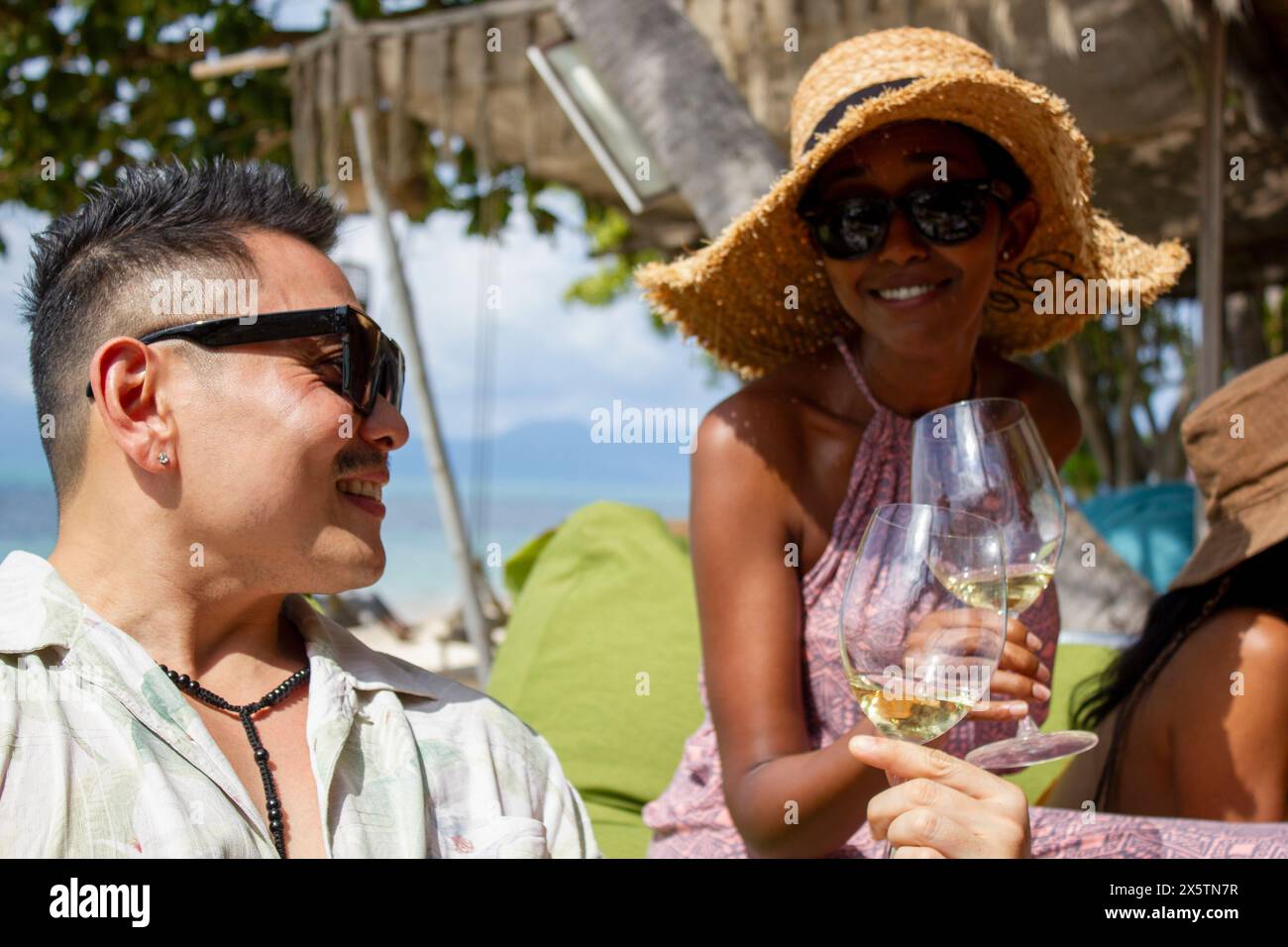 Group of friends drinking wine on vacation Stock Photo - Alamy