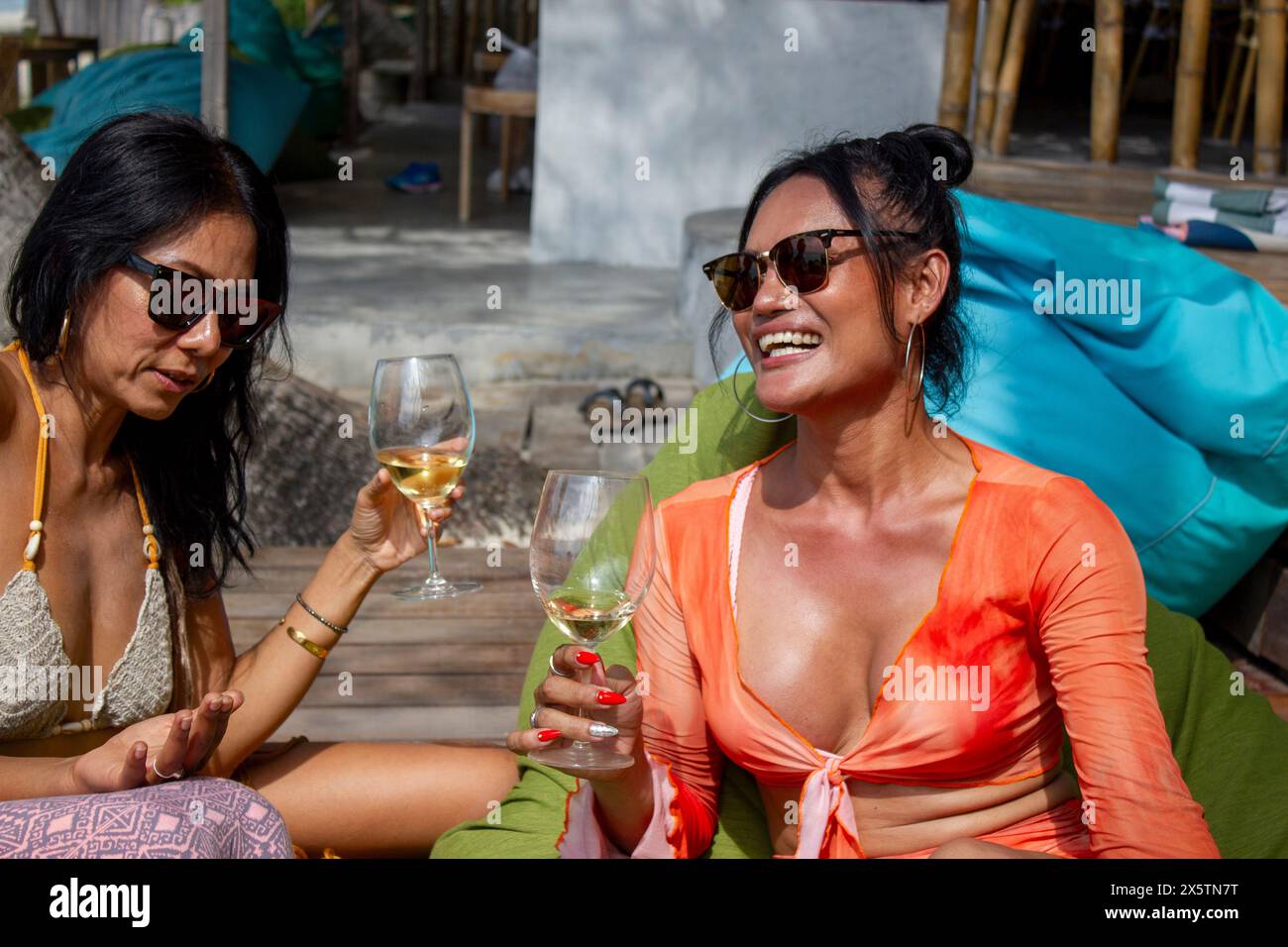 Female friends drinking wine on vacation Stock Photo - Alamy
