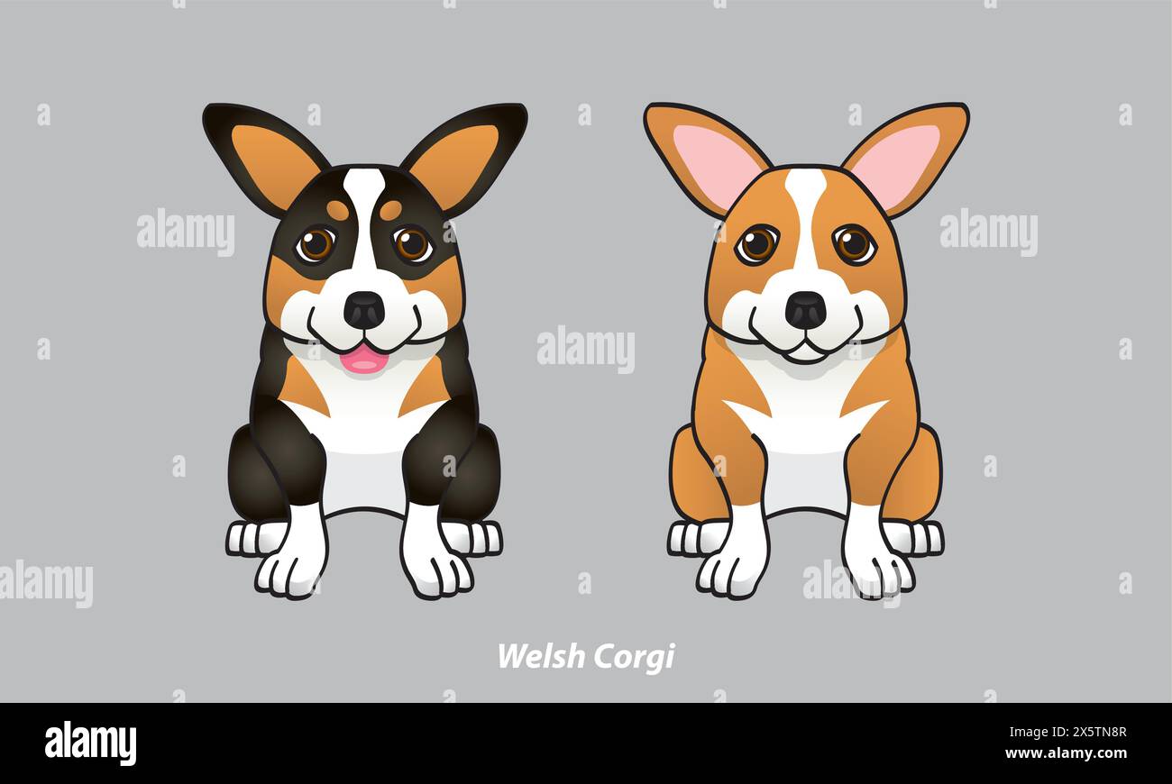 Vector of a cute Corgi Stock Vector Image & Art - Alamy