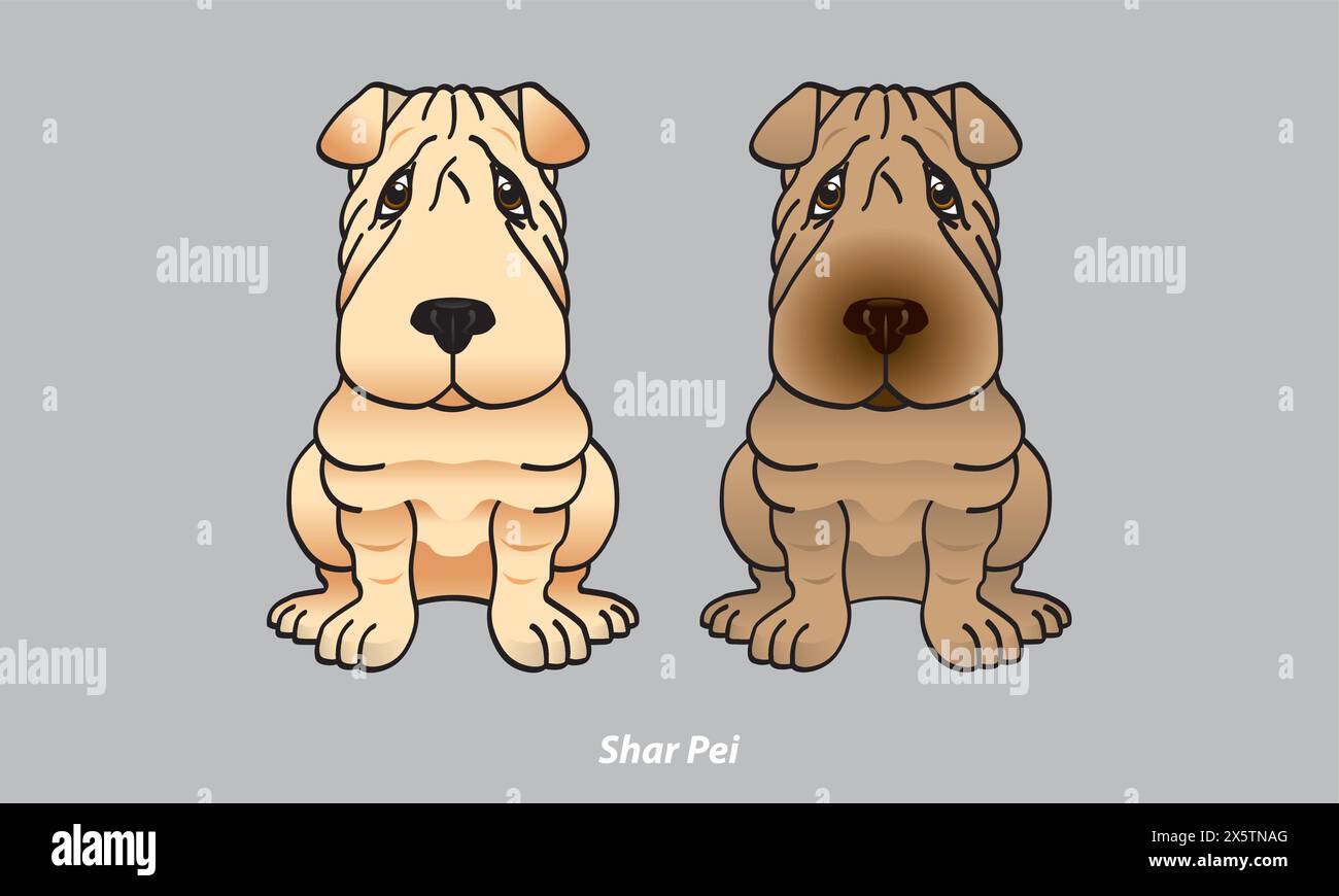 Vector of a cute Shar Pei Stock Vector Image & Art - Alamy