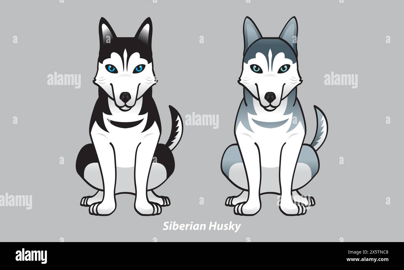Vector Of A Cute Husky Stock Vector Image And Art Alamy