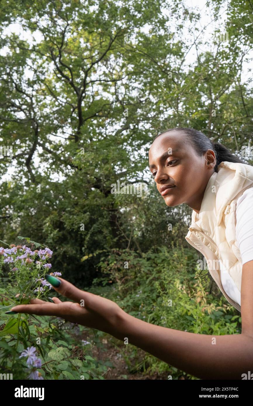 Portrait of woman looking at flowers on bush Stock Photo - Alamy