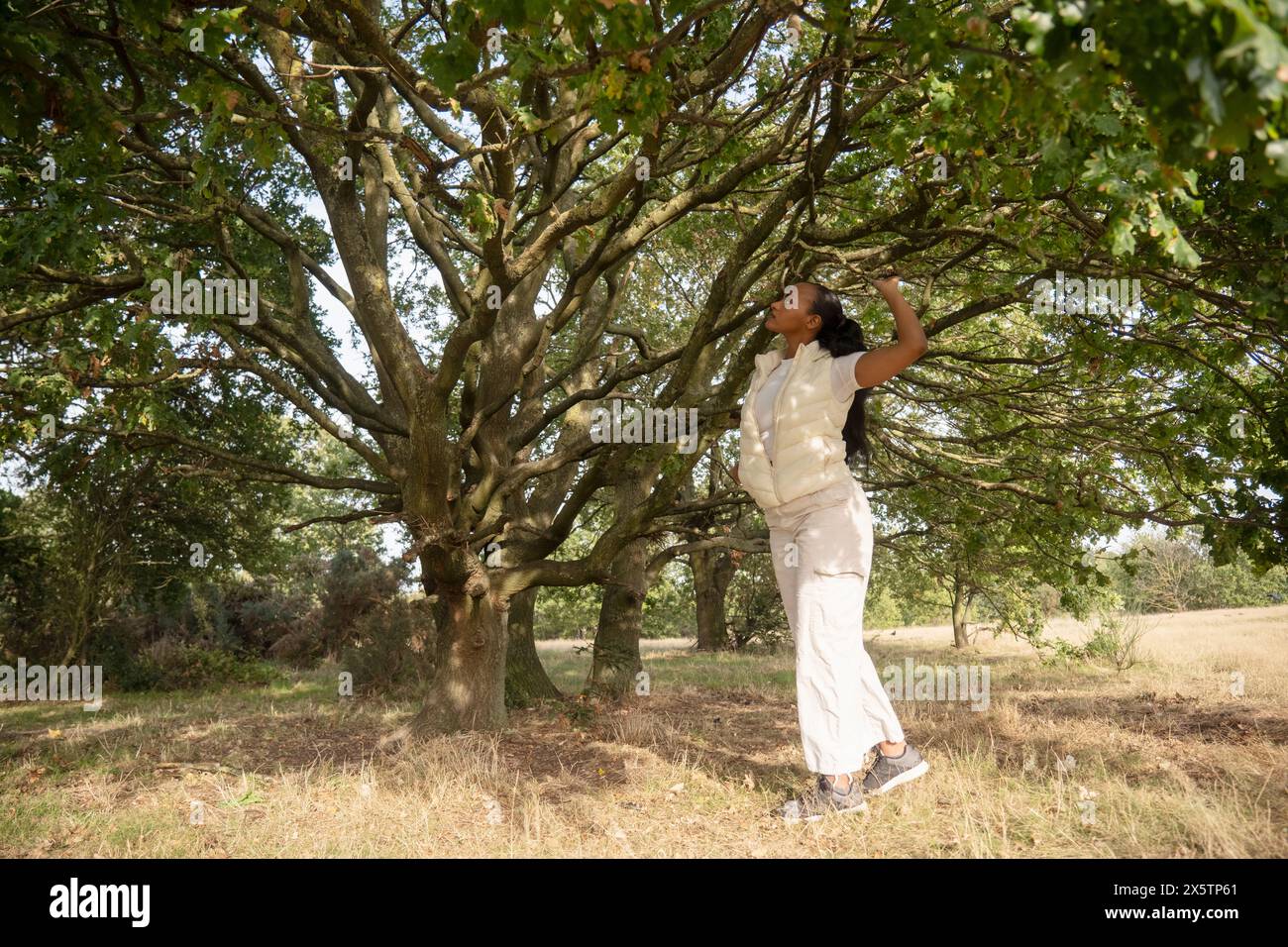 Young woman standing under tree in grassy field Stock Photo - Alamy