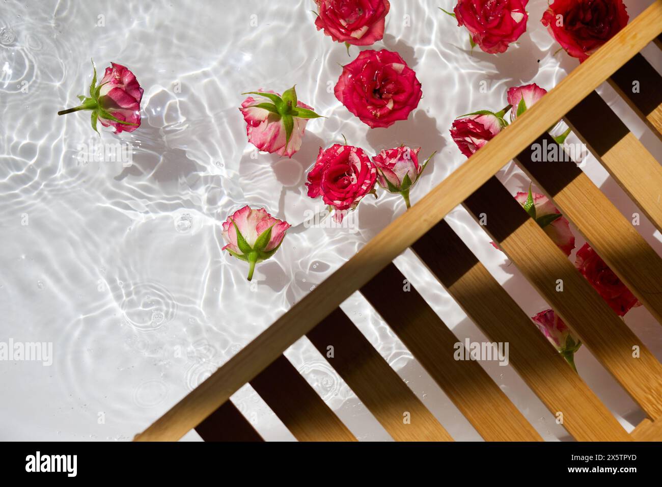 Roses Floating in Sunlit Water with Wooden Ladder Stock Photo - Alamy
