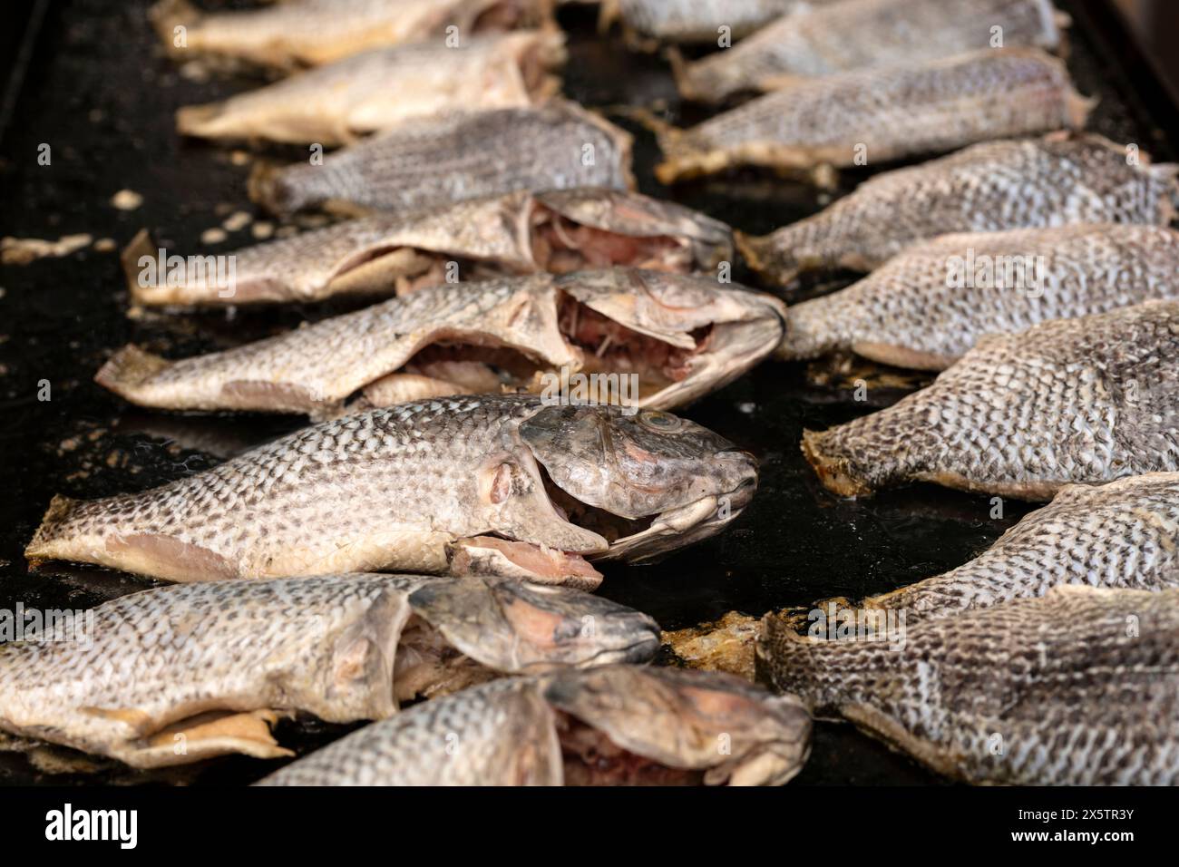 Frying tilapia whole fish on black grill. Food catering for a party ...