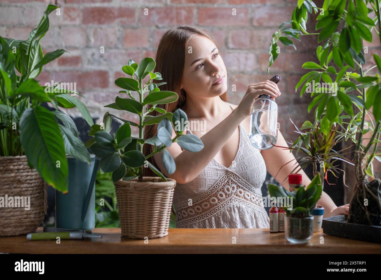 Portrait of teenage girl spraying houseplant leaves Stock Photo - Alamy