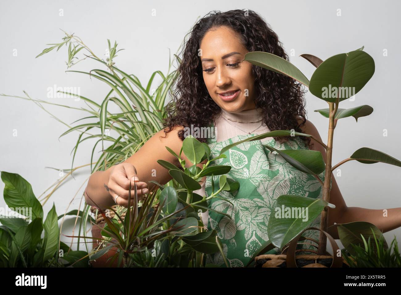 Studio portrait of smiling woman inspecting potted plant leaf Stock ...