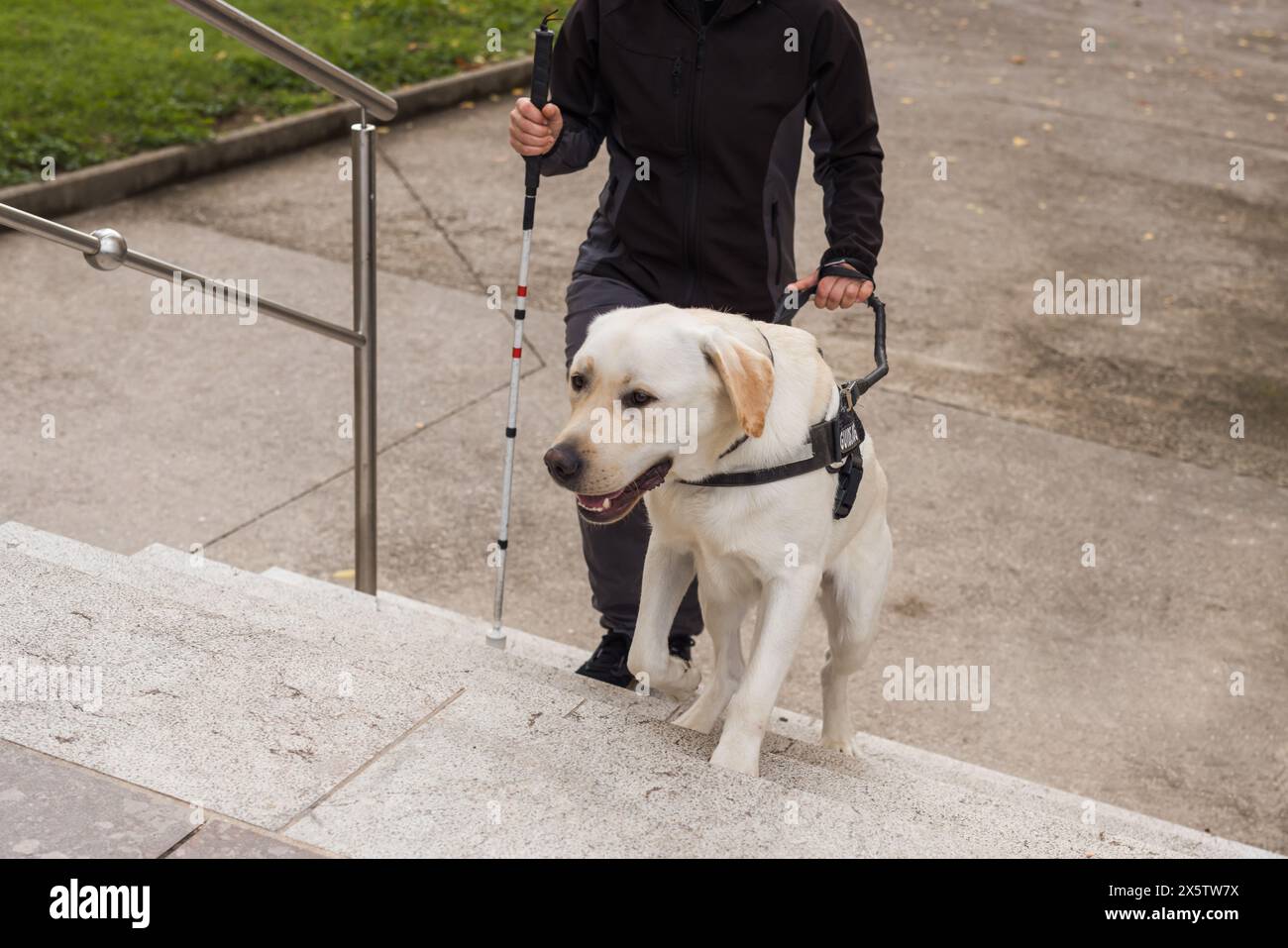 Visually impaired woman walking down the stairs with the help of her ...