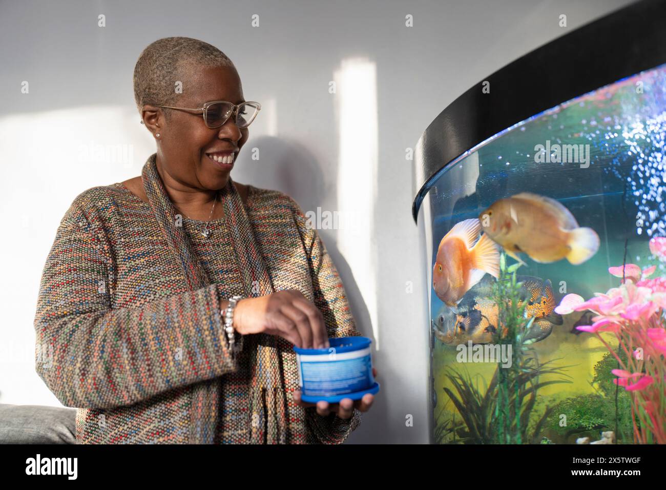 Person home aquarium hi-res stock photography and images - Alamy