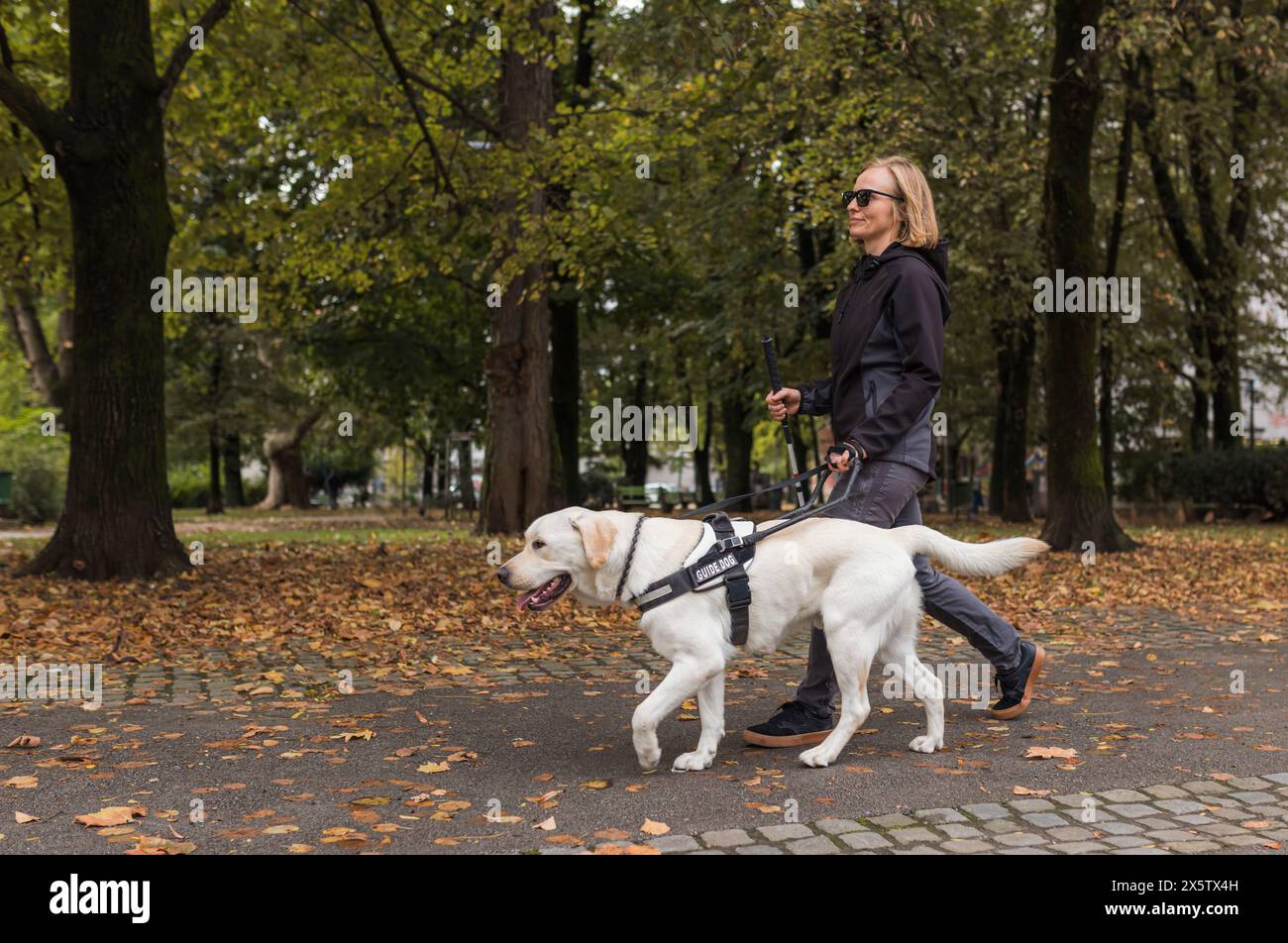 Woman with visual impairment walking with her guide dog through the ...
