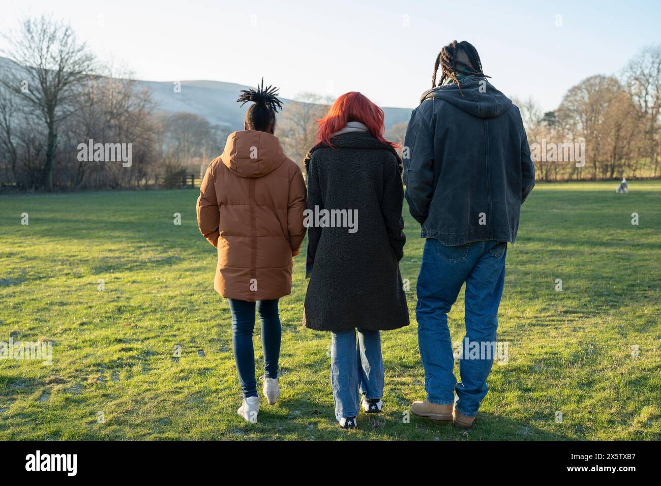Back view african couple walking hi-res stock photography and images ...