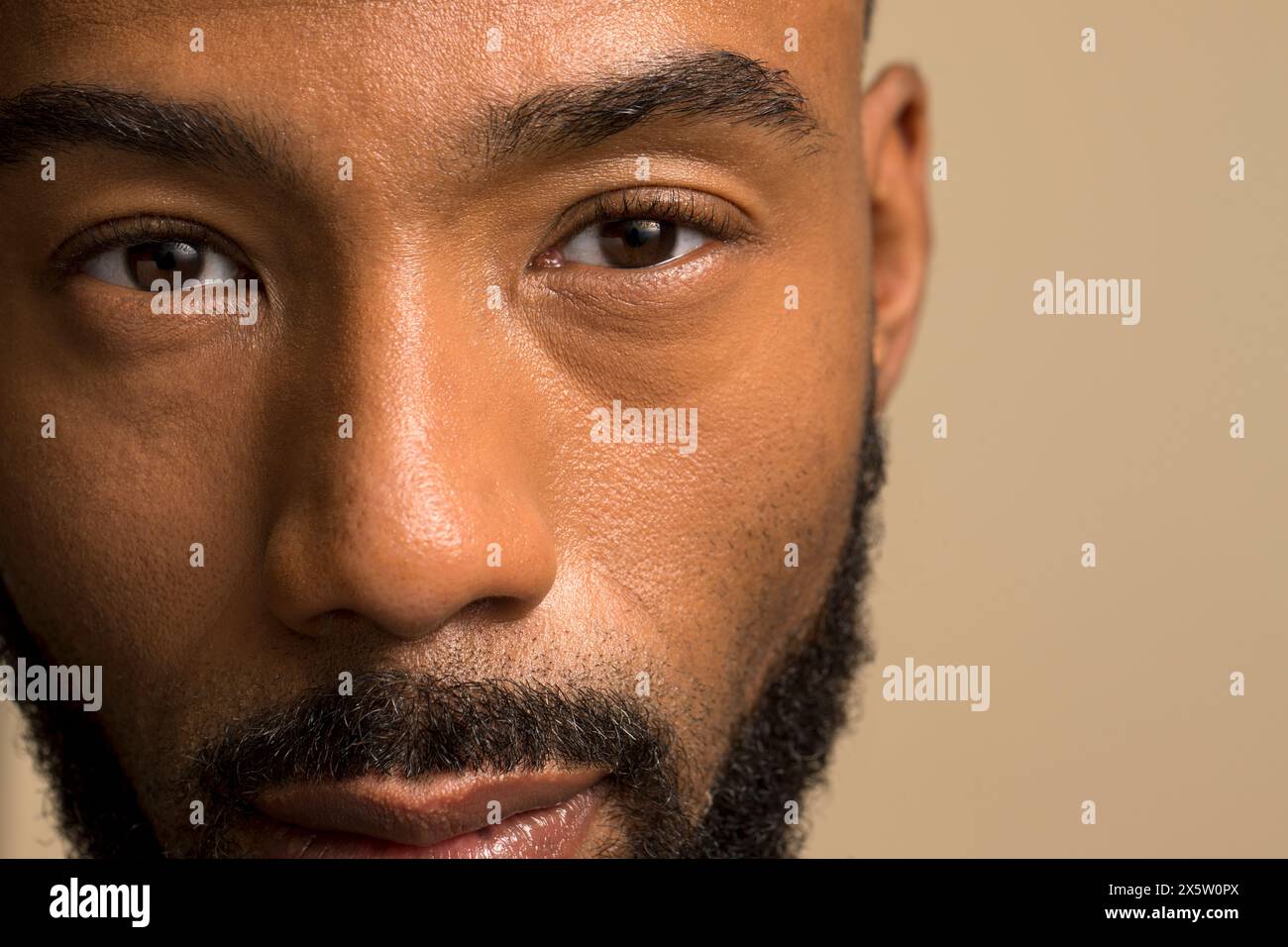 Studio portrait of young man with beard Stock Photo - Alamy