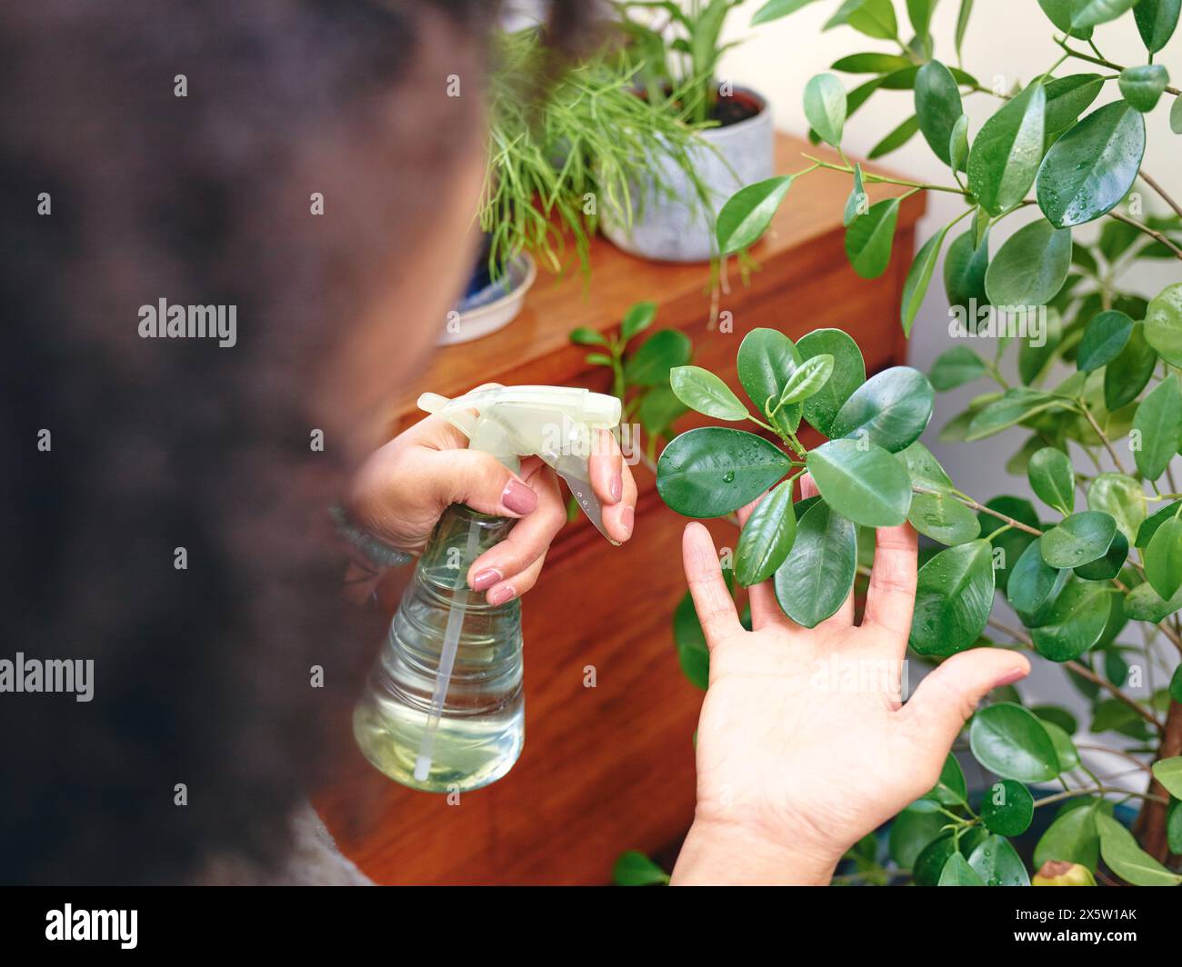 Close up woman watering hi-res stock photography and images - Alamy