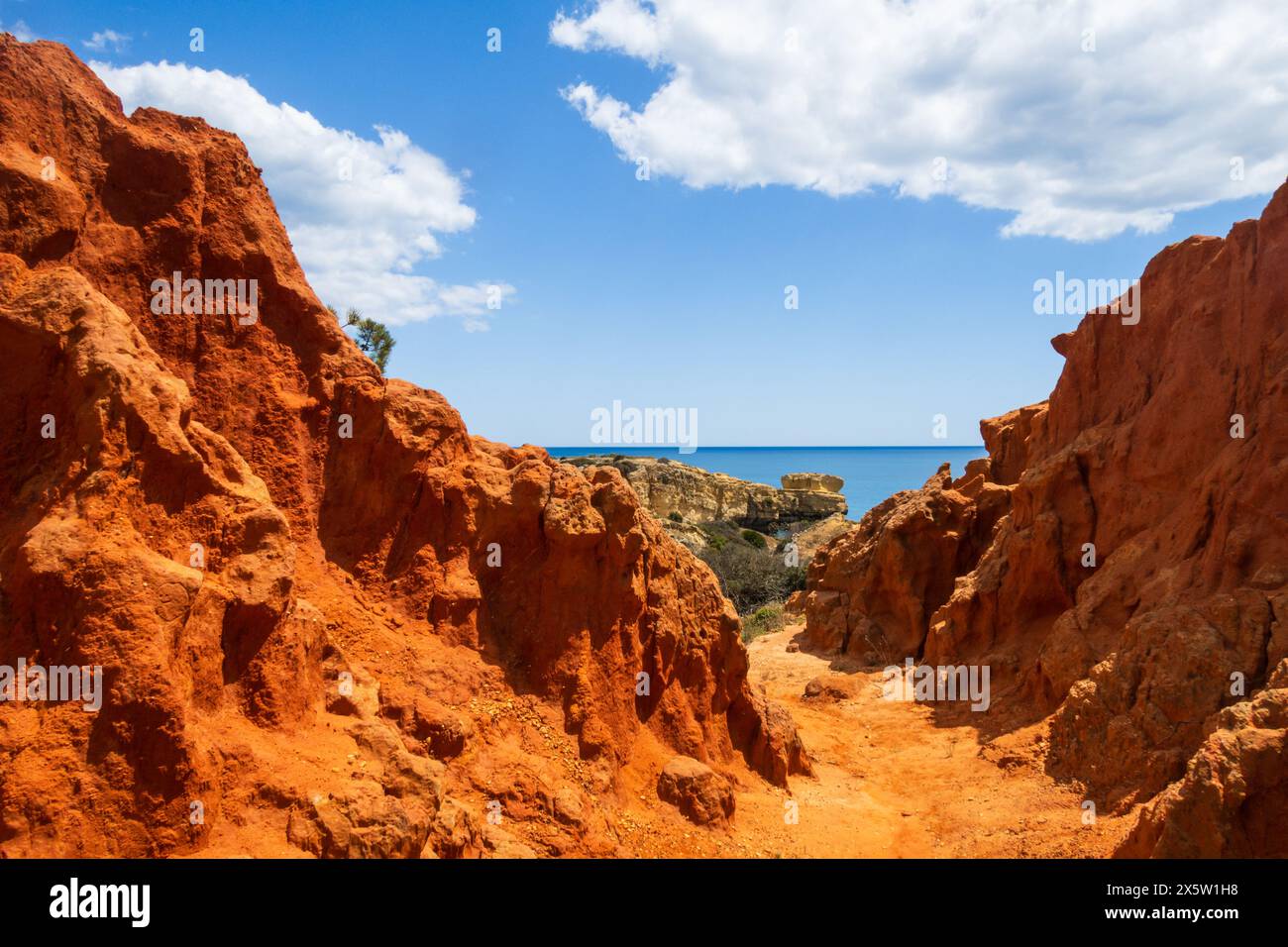 Amazing red sandstone rocks of the coastal cliffs, steep coast near ...