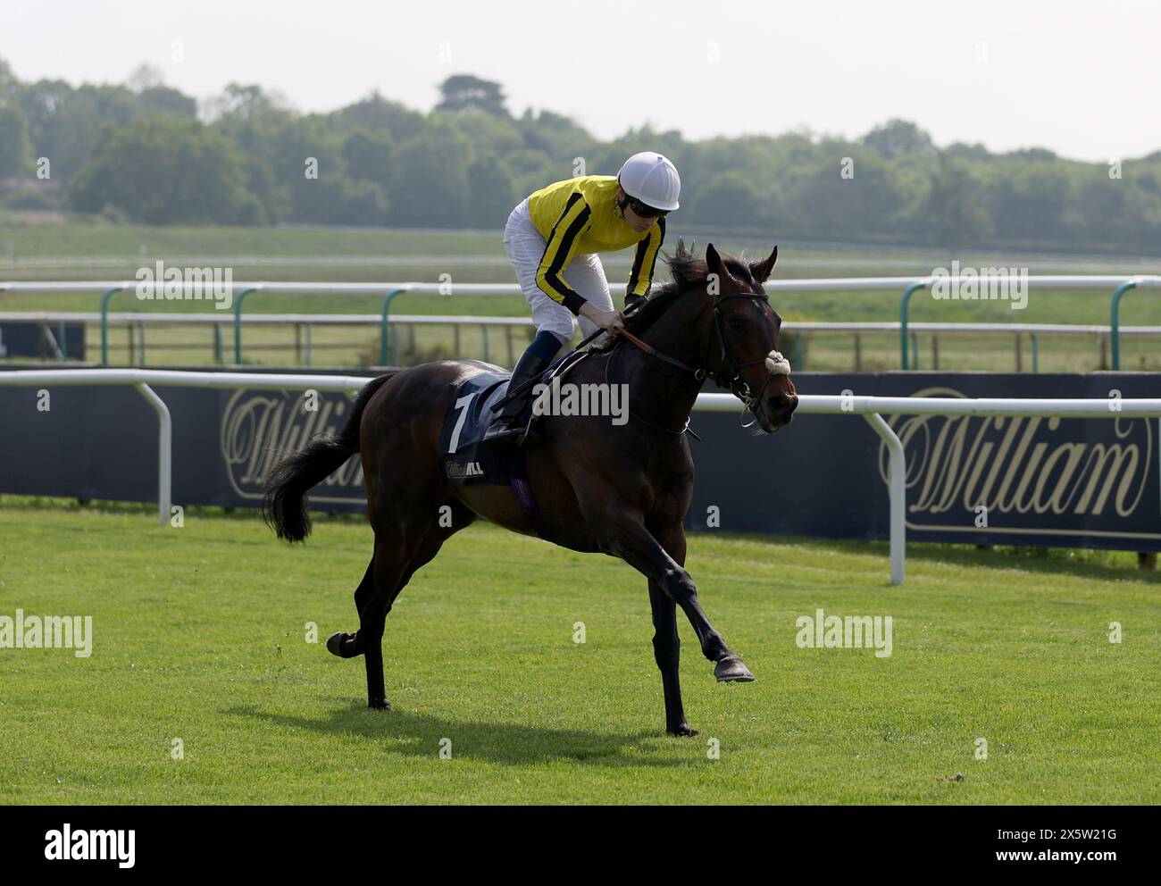 Ambiente Friendly ridden by jockey Callum Shepherd on their way to ...