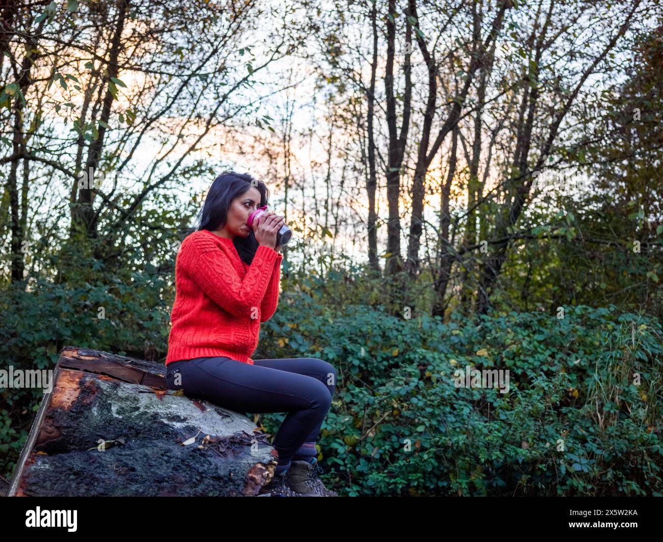 Female hiker sitting on log and drinking hot drink Stock Photo - Alamy