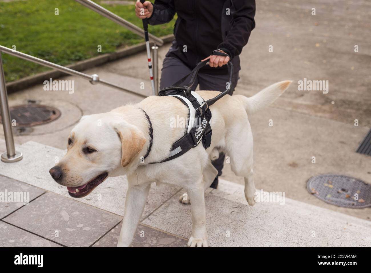 Helping a blind person hi-res stock photography and images - Alamy