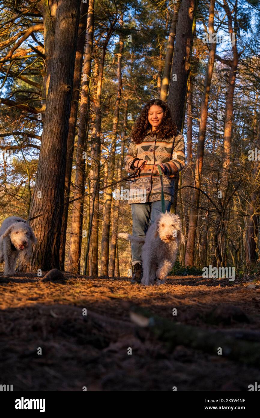 Dogs in forest hi-res stock photography and images - Alamy