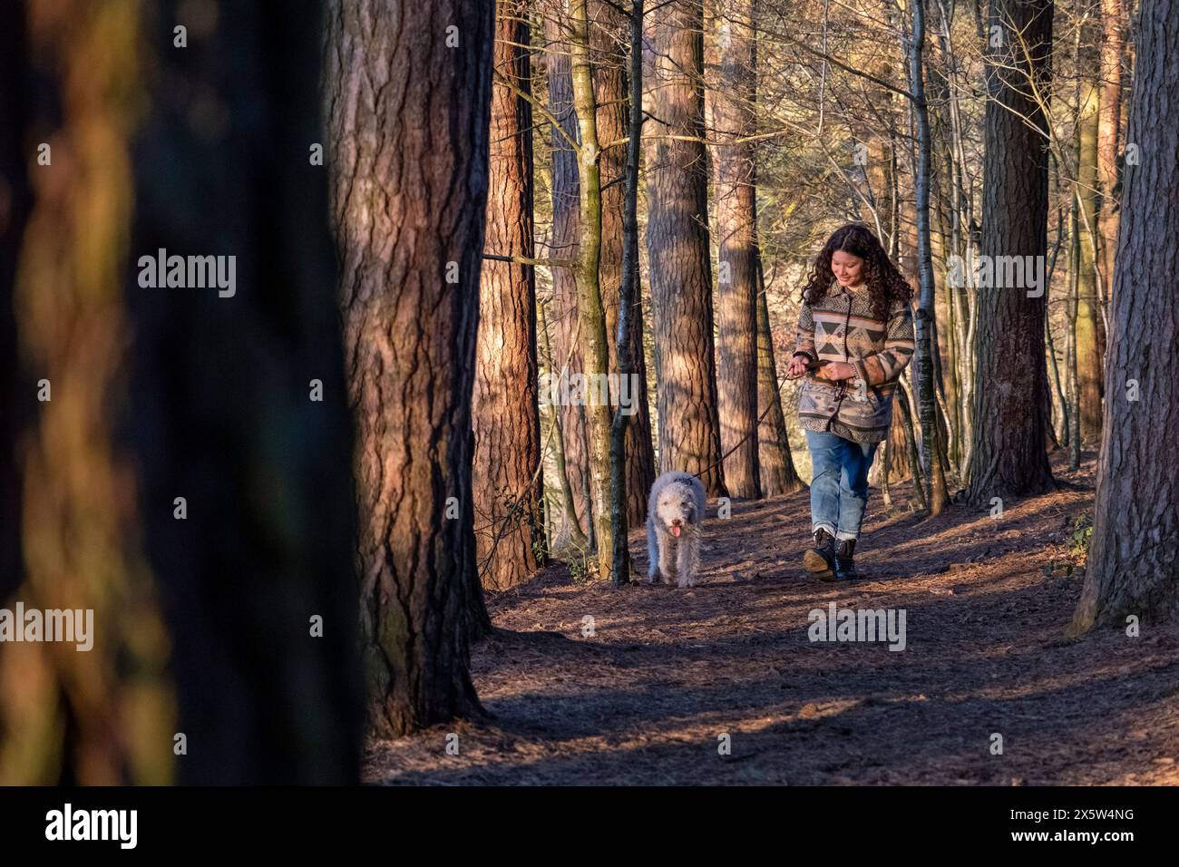 Woman alone walking dog autumn hi-res stock photography and images - Alamy