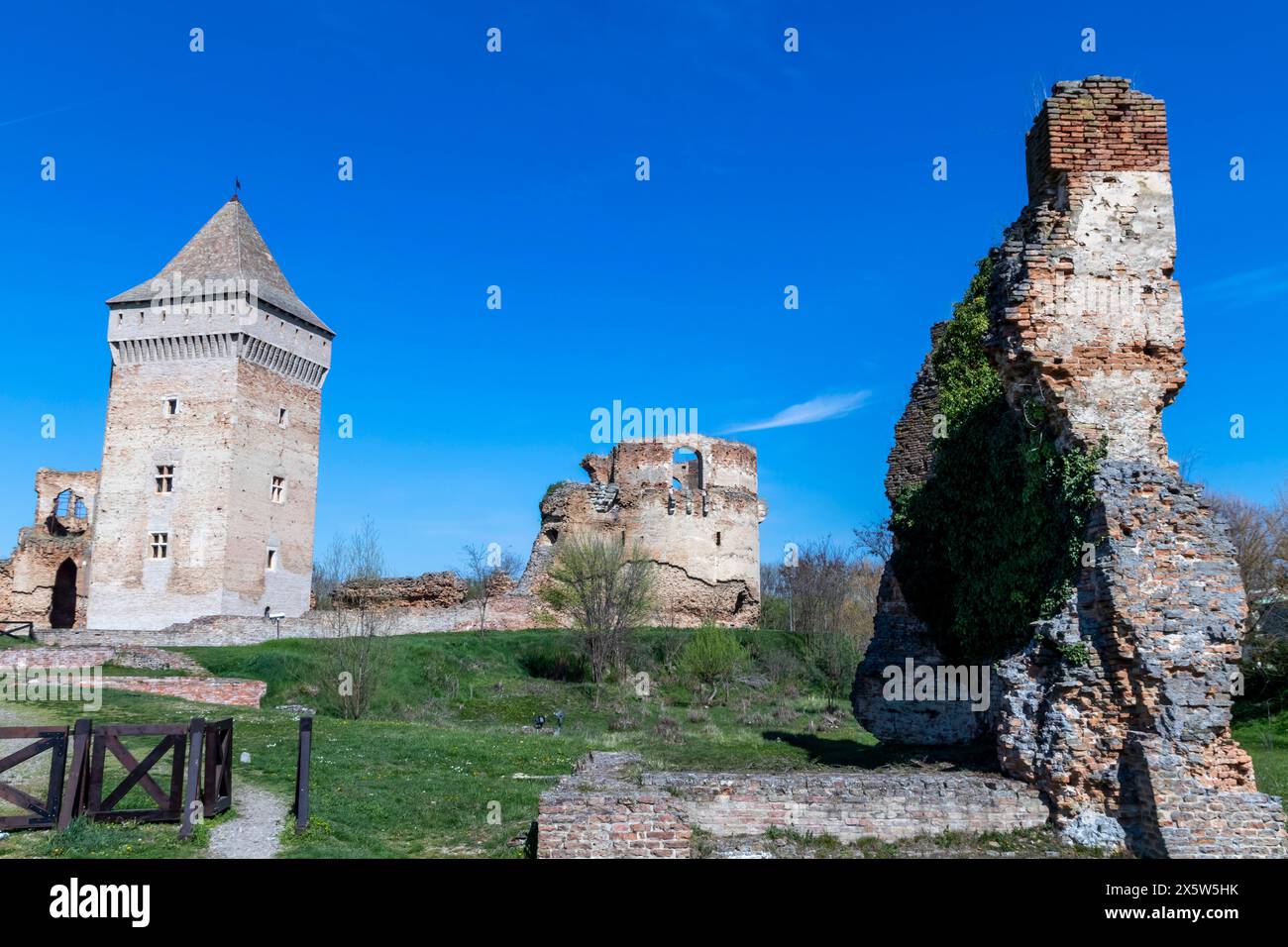 Ruins of old medieval fortress Bac, Serbia Stock Photo - Alamy