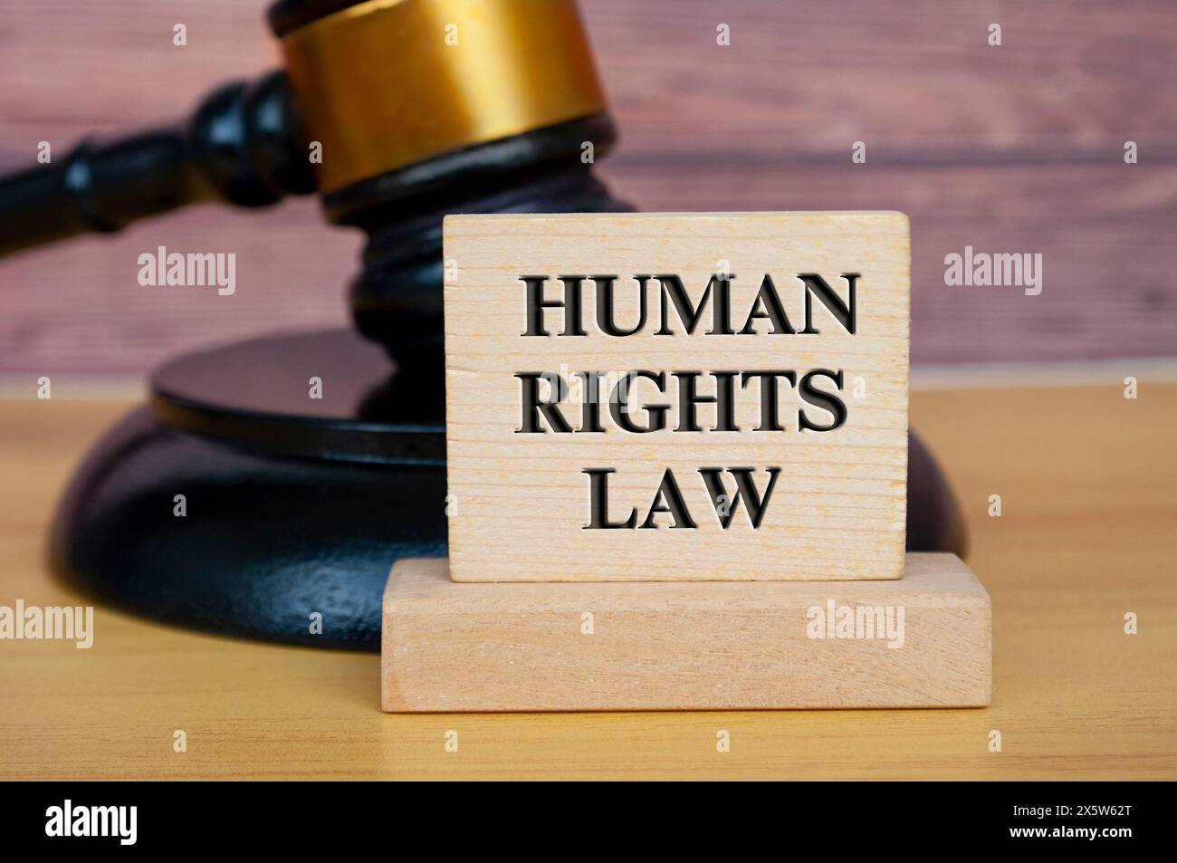 Human rights law text engraved on wooden block. Legal and law concept ...