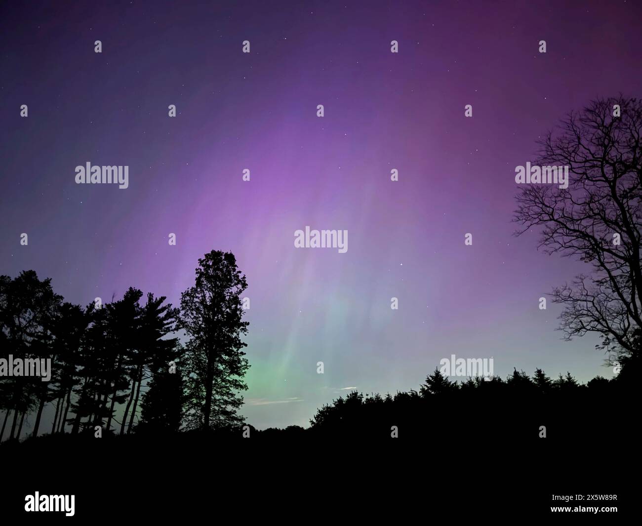 The Aurora Borealis, also known as the Northern Lights, is visible over ...