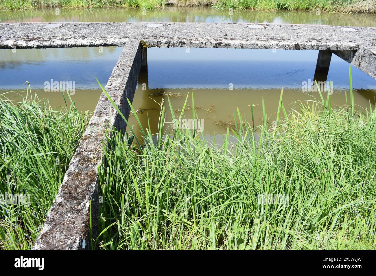 concrete construction above a river lock Stock Photo - Alamy