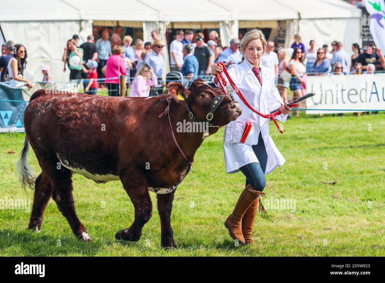 11 May 2024, Ayr, UK. Thousands of spectators and visitors attended the ...