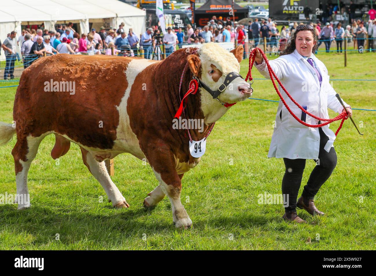 Ayr, UK. 11th May, 2024. Thousands of spectators and visitors attended ...