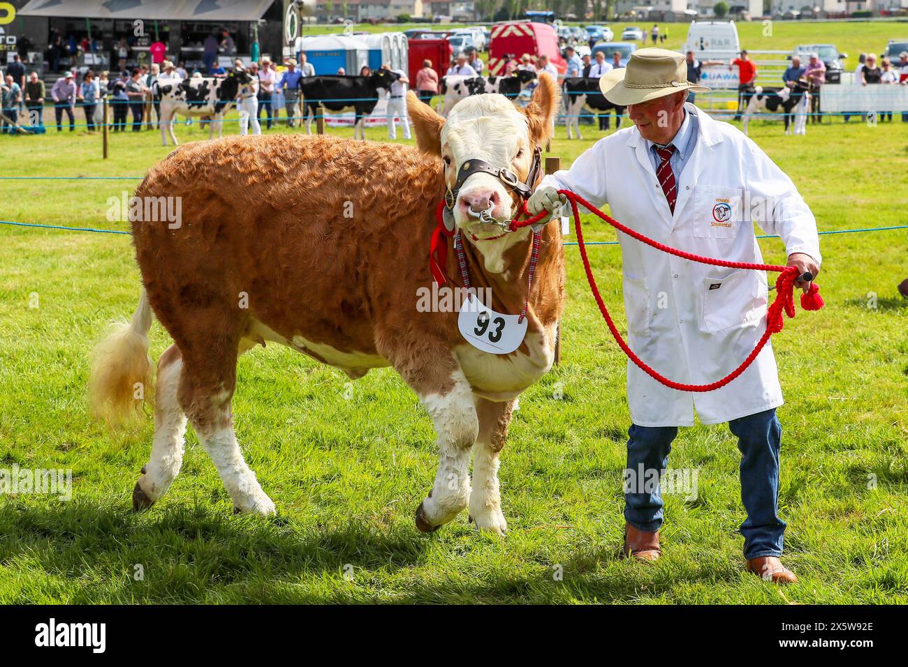 Ayr, UK. 11th May, 2024. Thousands of spectators and visitors attended ...