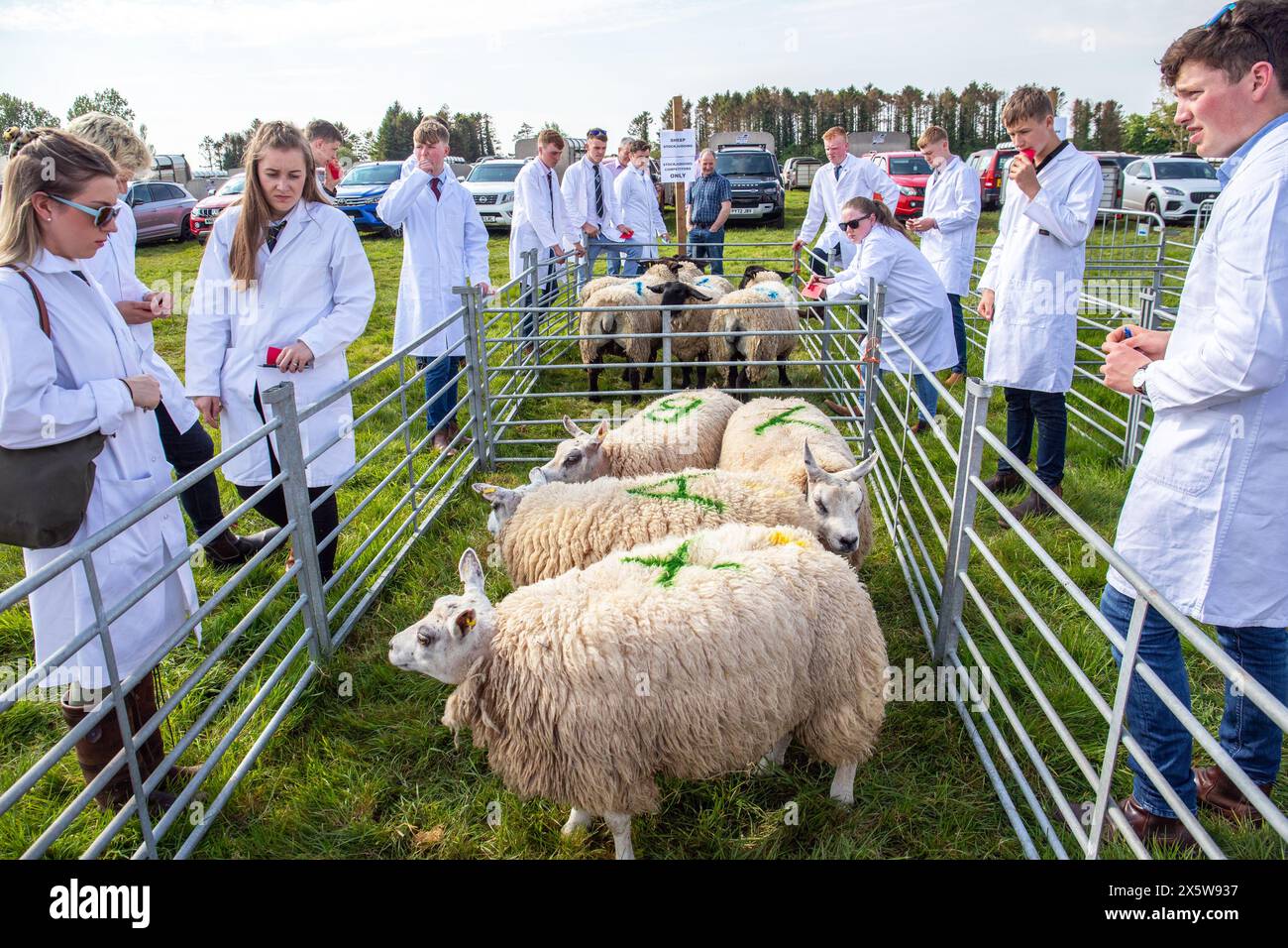 11 May 2024, Ayr, UK. Thousands of spectators and visitors attended the ...