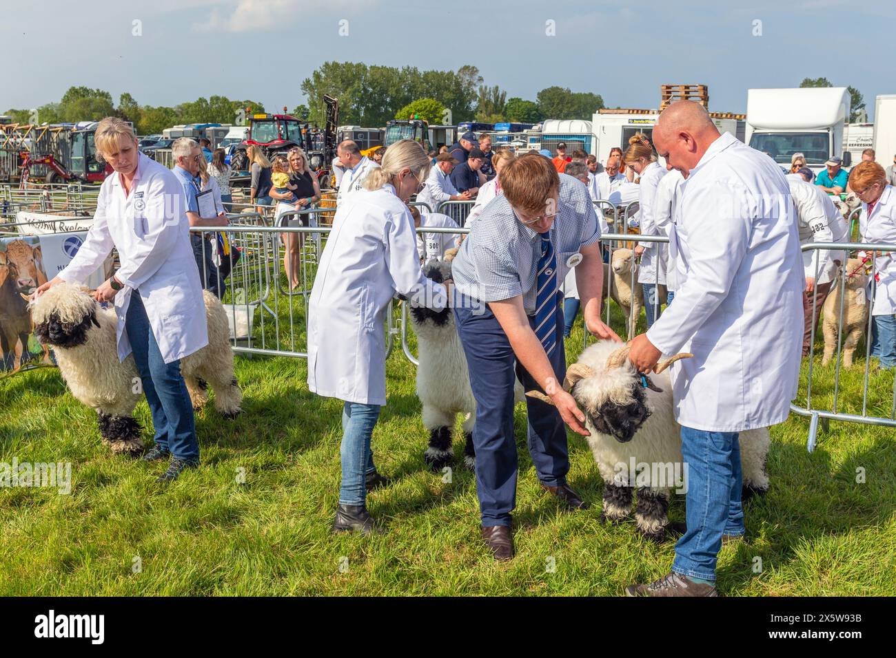 11 May 2024, Ayr, UK. Thousands of spectators and visitors attended the ...