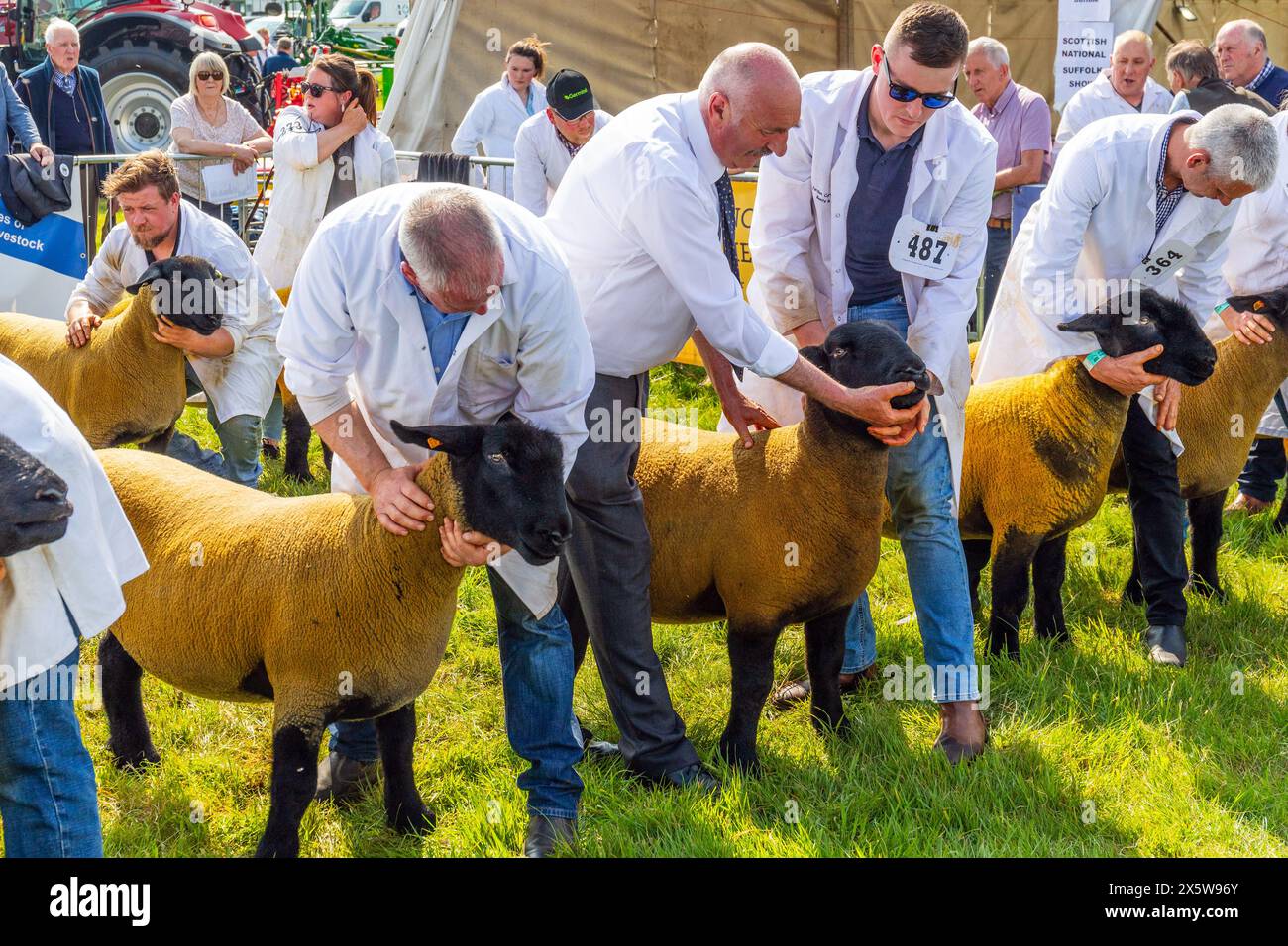 Ayr, UK. 11th May, 2024. Thousands of spectators and visitors attended ...