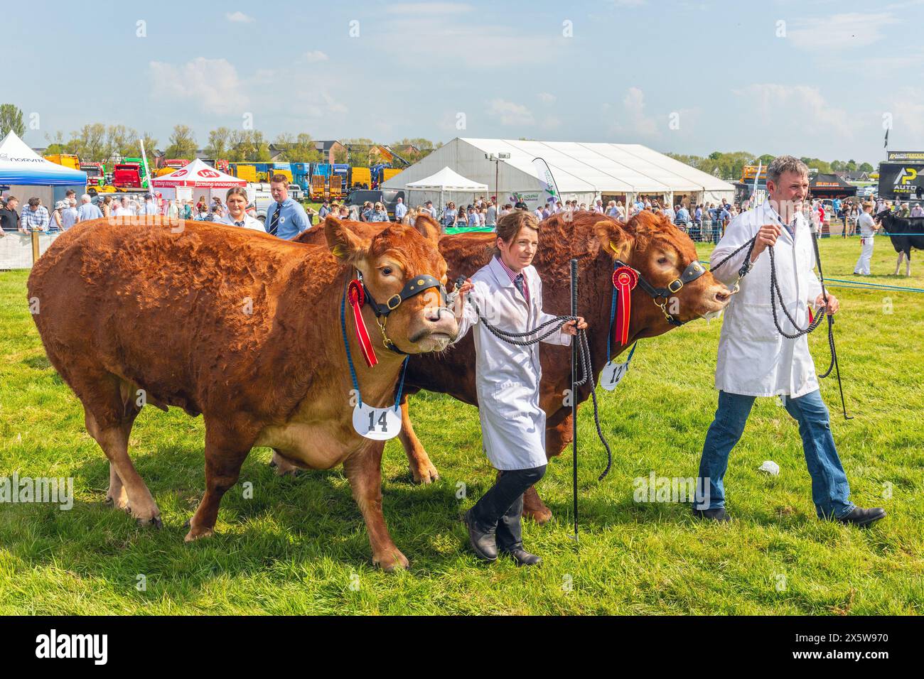 11 May 2024, Ayr, UK. Thousands of spectators and visitors attended the ...