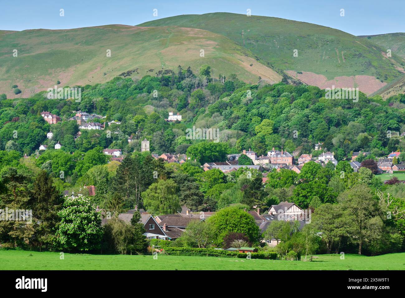 Church Stretton and the Long Mynd from near Helmeth Wood, Church ...