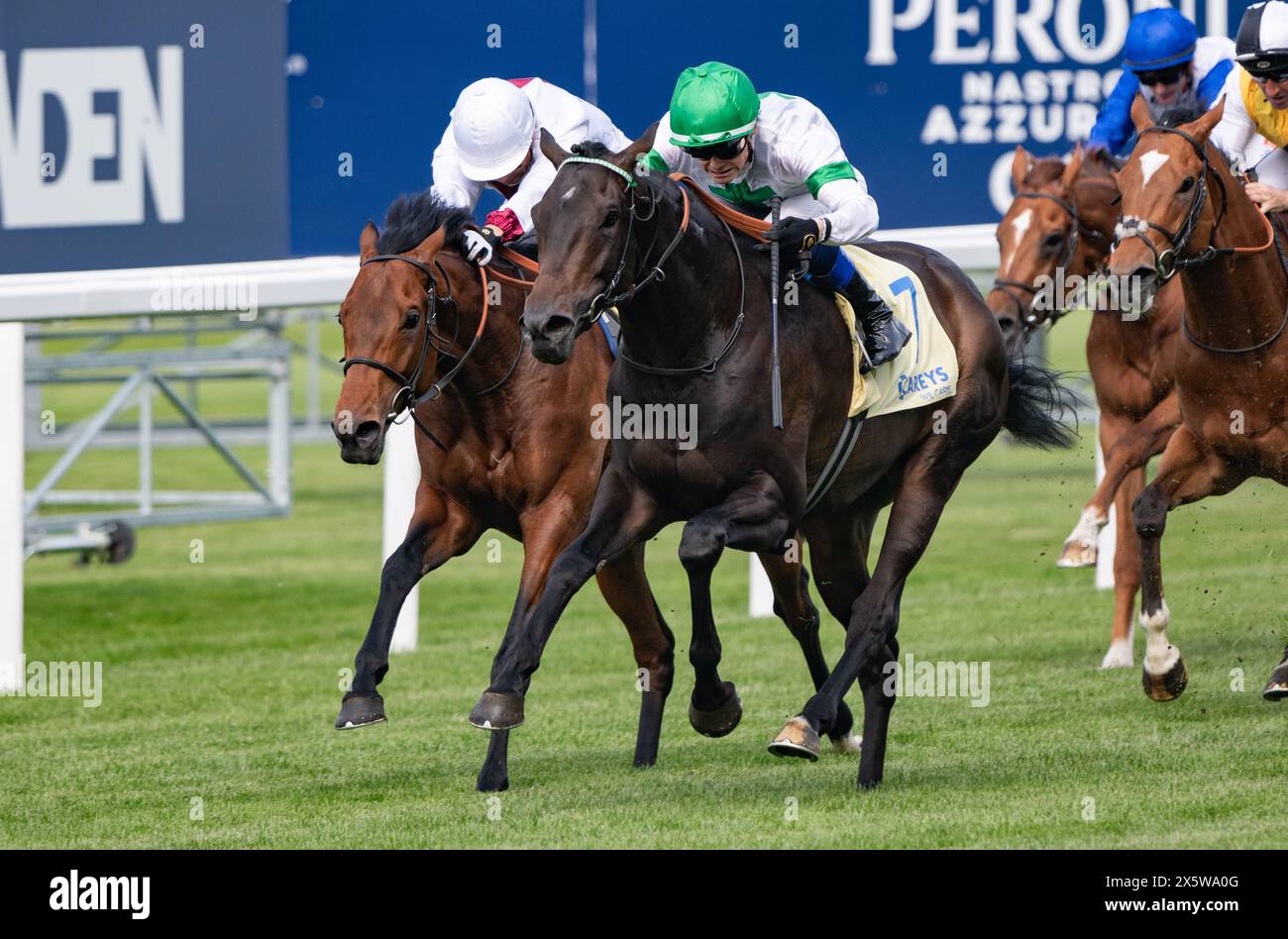 Kevin philippart de foy hi-res stock photography and images - Alamy