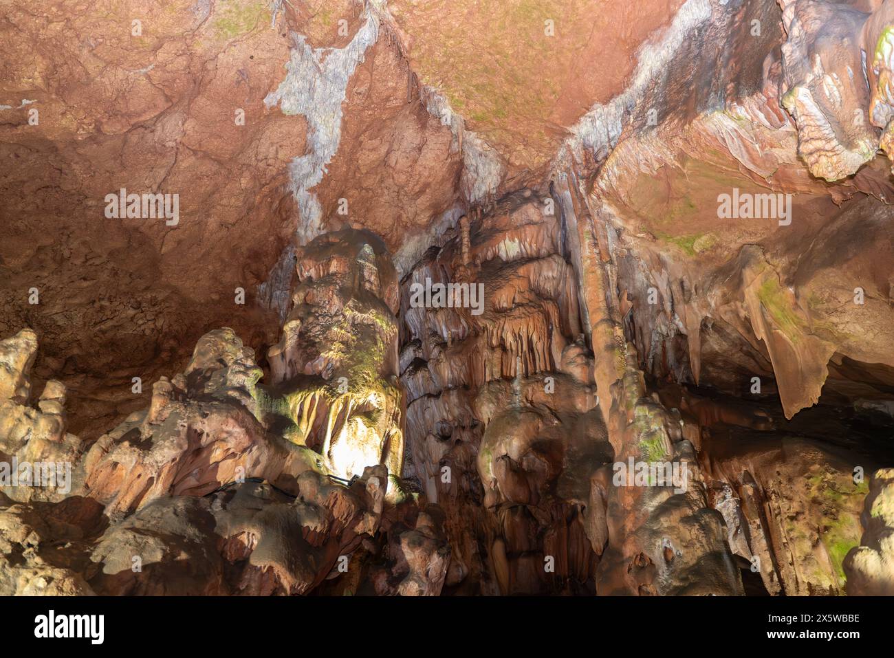 The cave is dark and damp, with moss growing on the walls. The ceiling ...