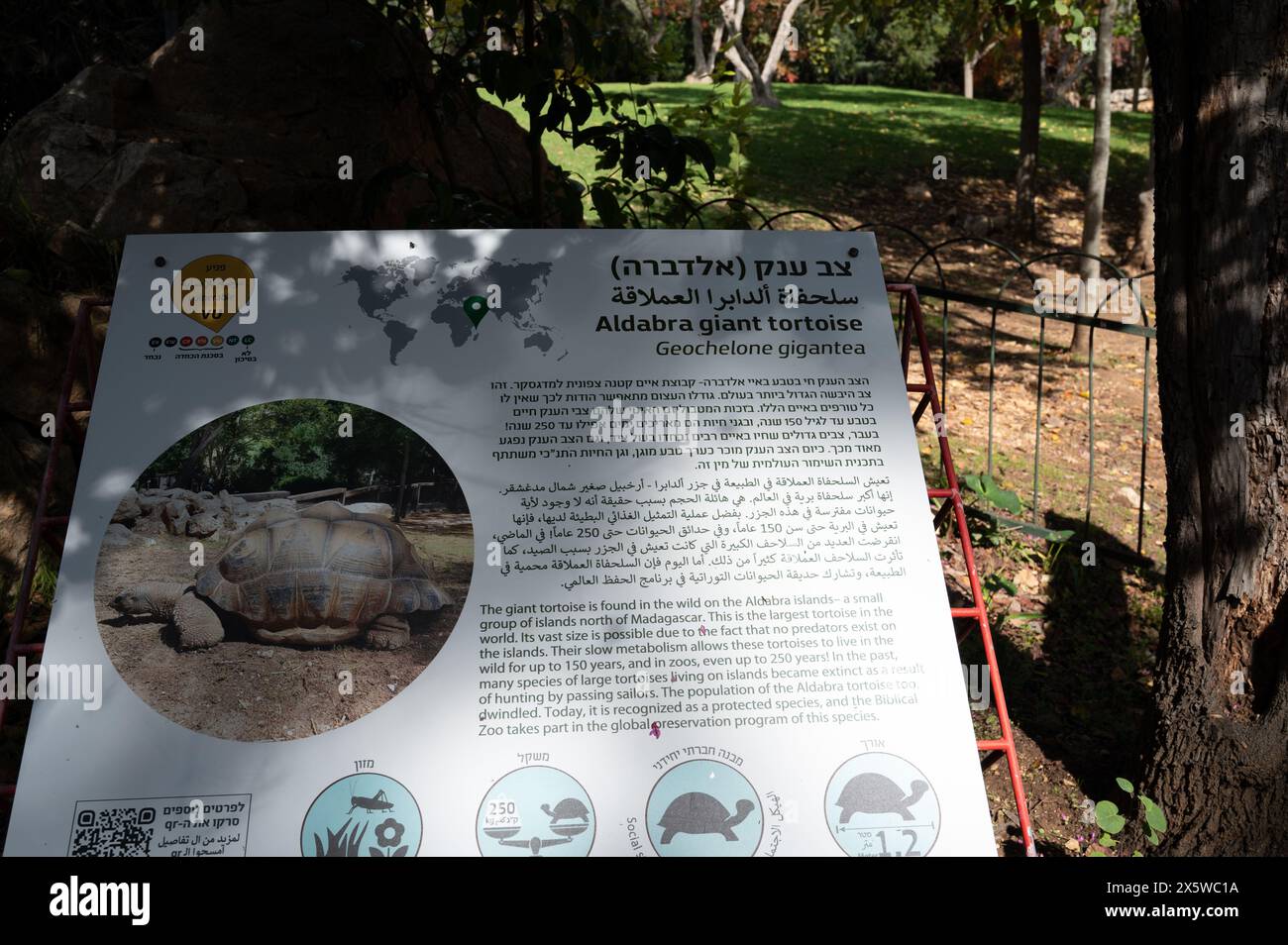 Description of the Aldabra giant tortoise plate at the Biblical Zoo in ...