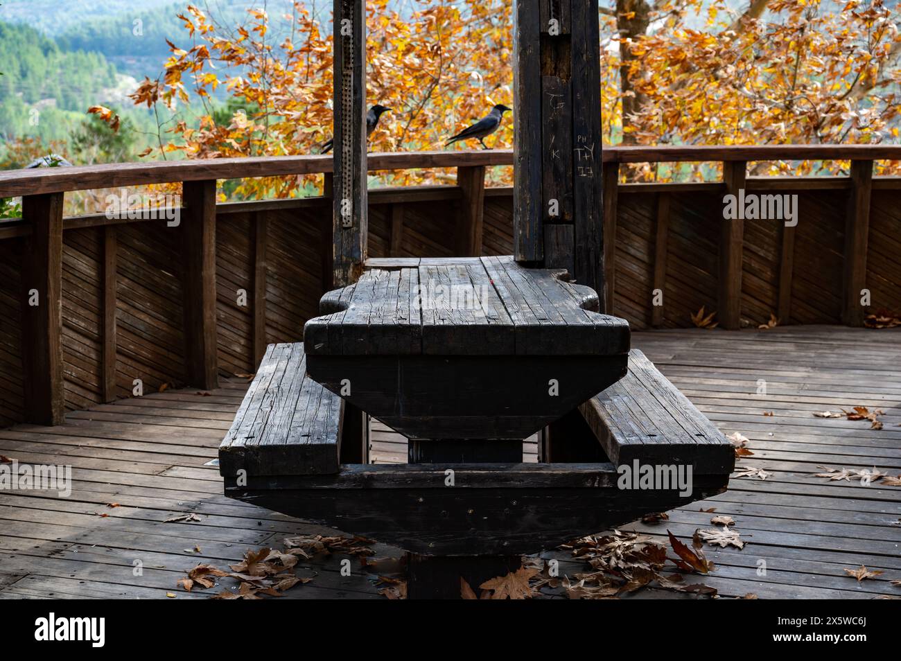 wooden table in the Noah's Ark cafe in the biblical zoo in Jerusalem ...