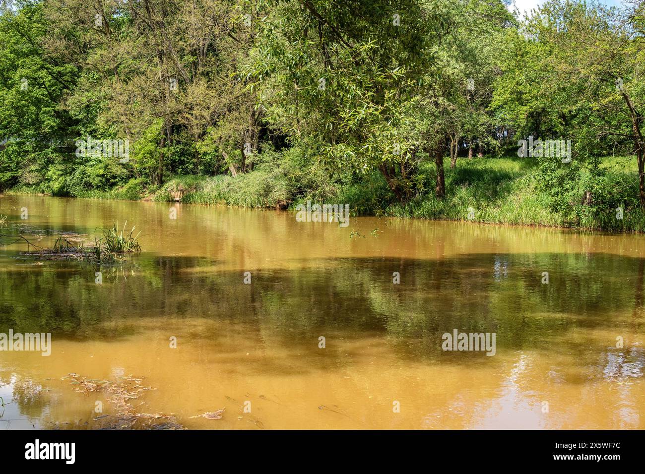 Spremberg, Germany. 11th May, 2024. The river Spree flows through the ...
