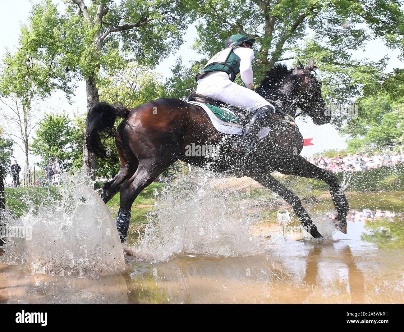 Horse sap talisman hi-res stock photography and images - Alamy