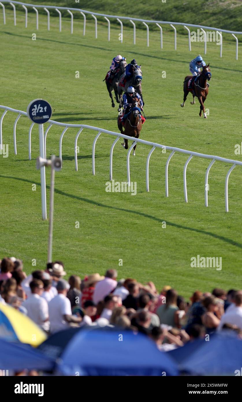 Hadaaya (bottom) ridden by jockey Daniel Muscott on their way to ...