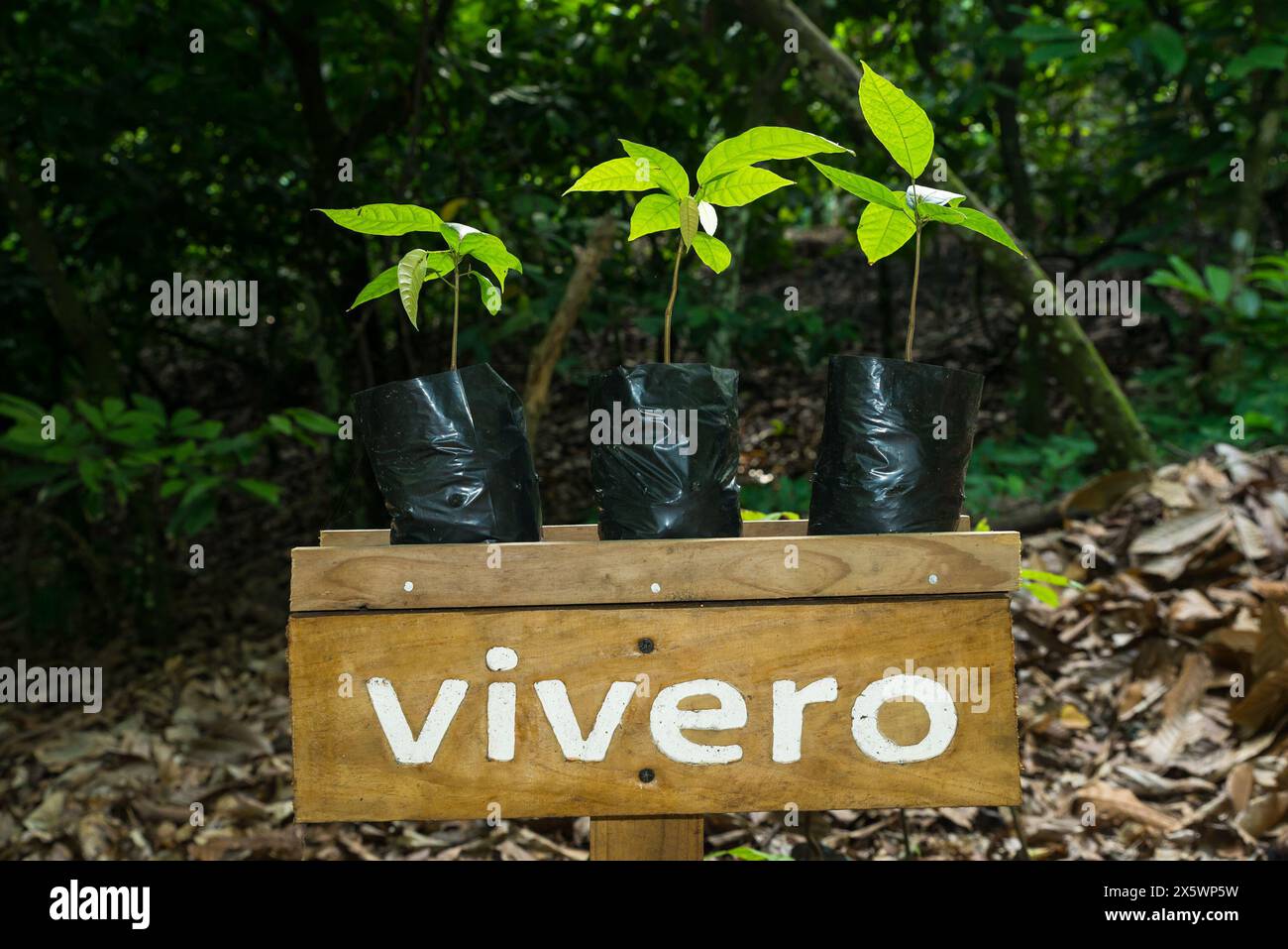 Chocolala Chocolate Museum, Dominican Republic Stock Photo - Alamy