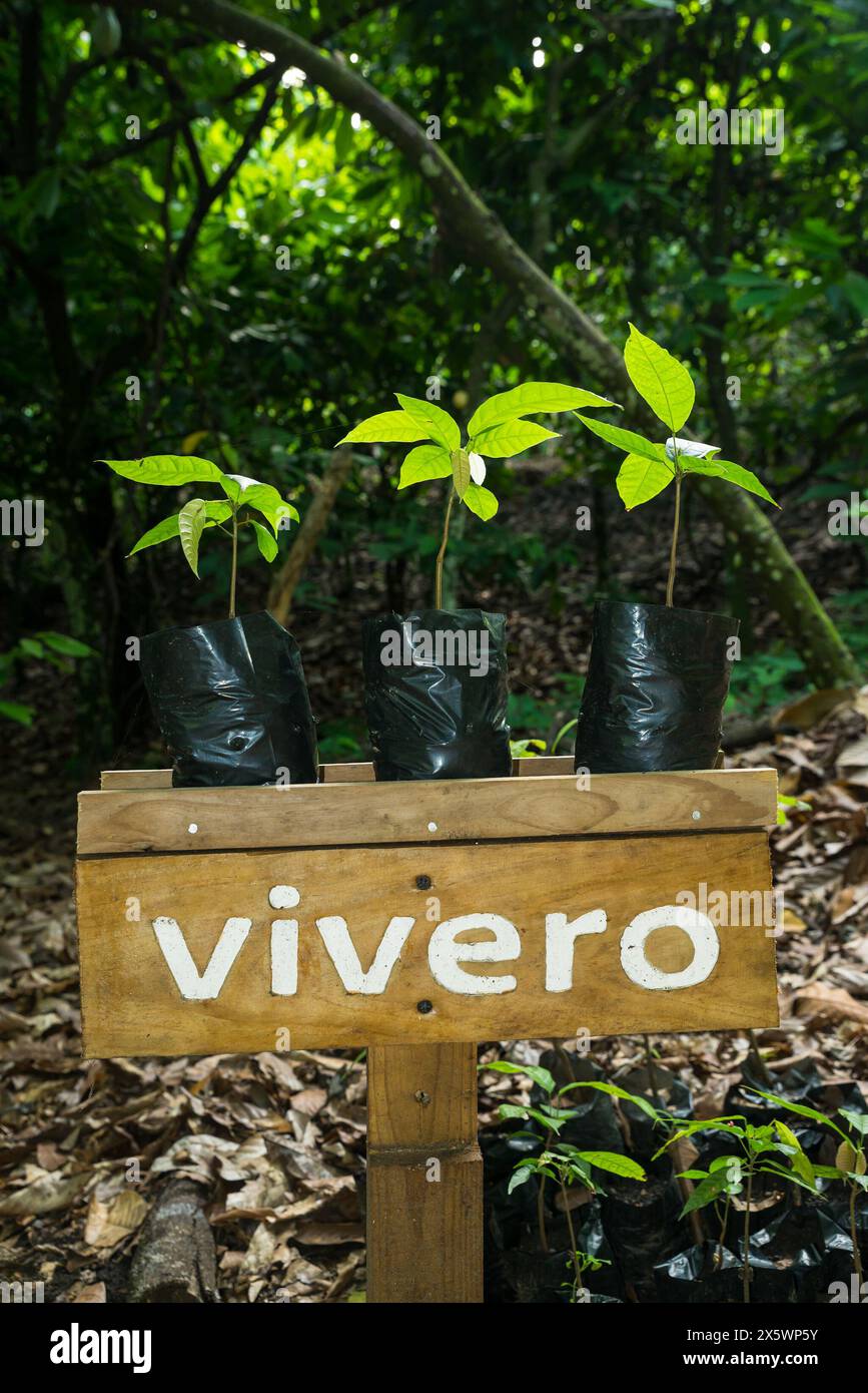 Chocolala Chocolate Museum, Dominican Republic Stock Photo - Alamy