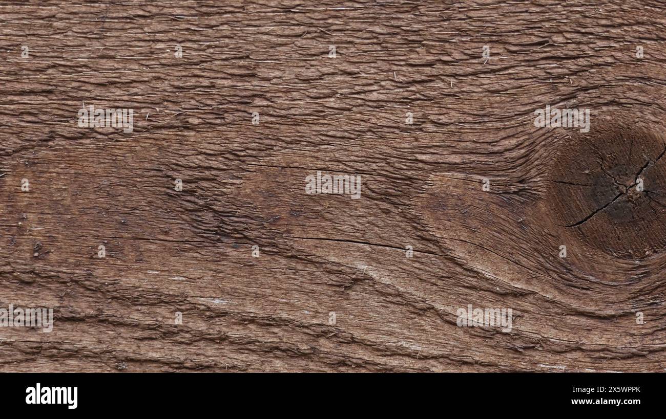 Real trees hi-res stock photography and images - Alamy