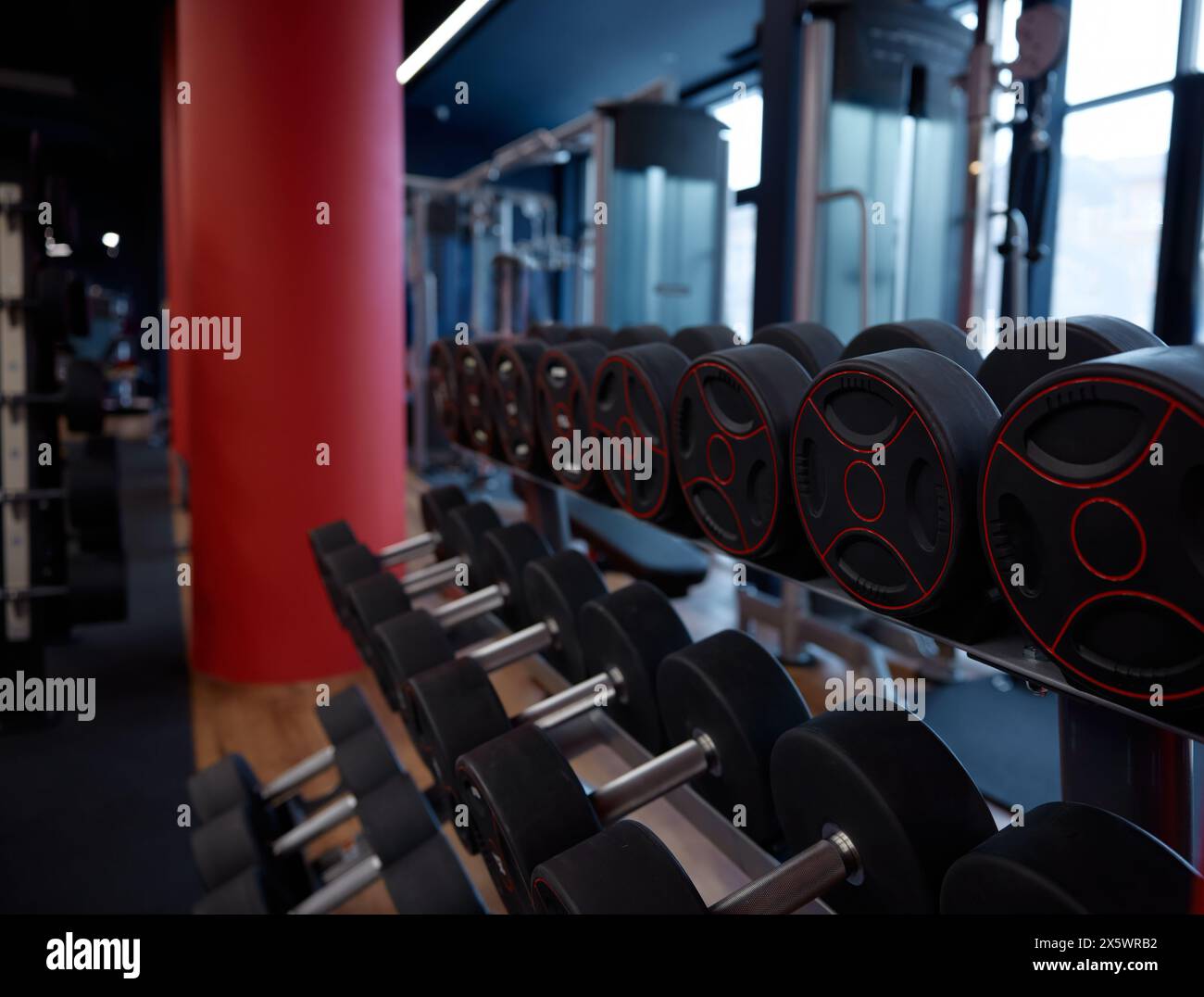 Row heavy dumbbells for bodybuilding physical exercises on rack in gym ...