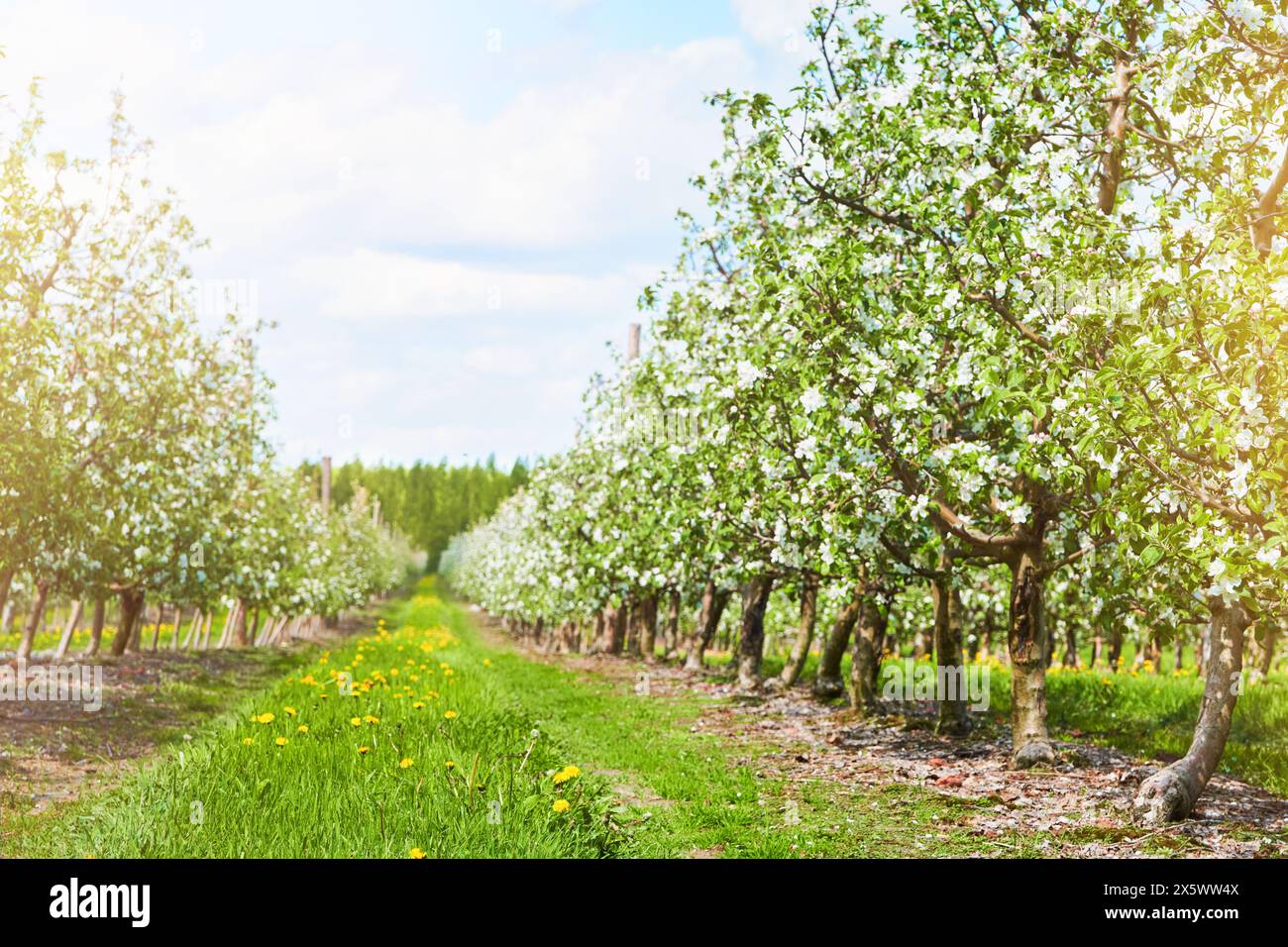 Nature and technolog hi-res stock photography and images - Alamy