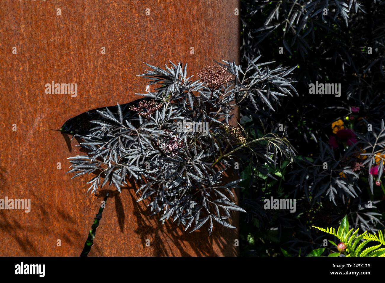 100 years of the RAF garden at Malvern Show Stock Photo - Alamy